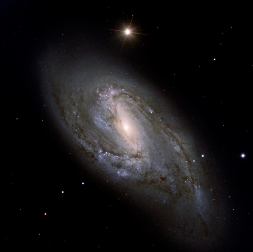 Messier 66 | Messier Objects