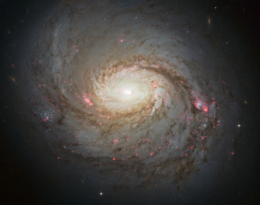Messier 77: Cetus A | Messier Objects