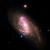 Messier 66 | Messier Objects