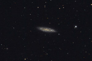 Messier 108: Surfboard Galaxy | Messier Objects